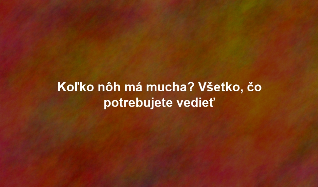 Koľko nôh má mucha? Všetko, čo potrebujete vedieť - Kolkoo.sk